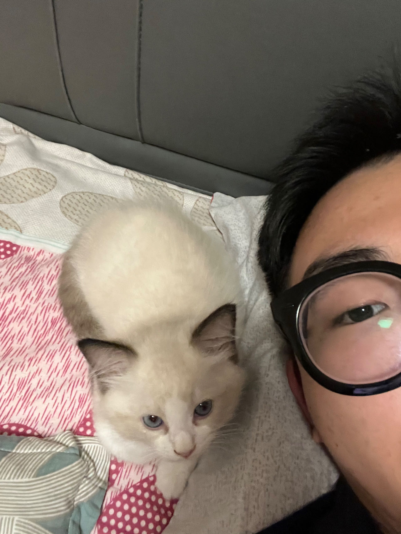 Luke Cao Personal Website