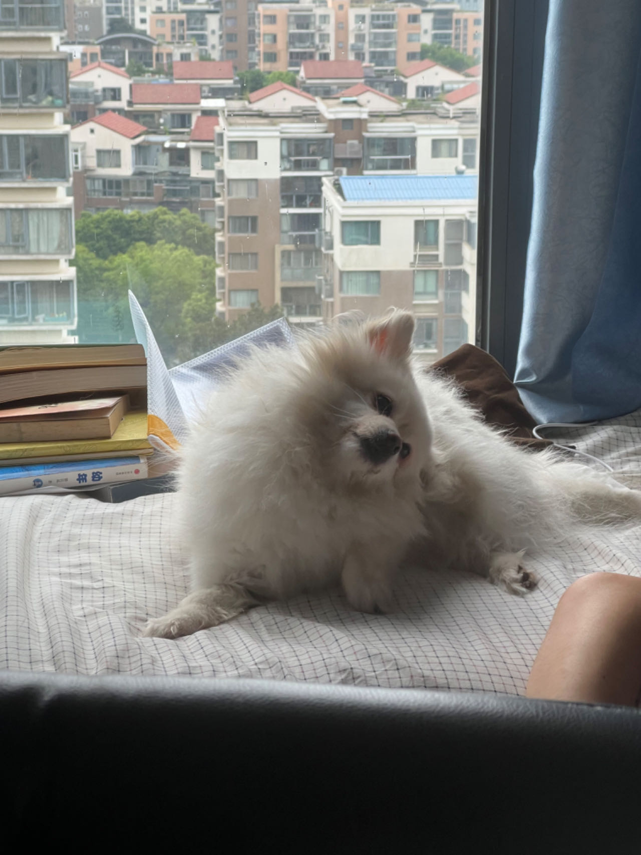 Luke Cao Personal Website